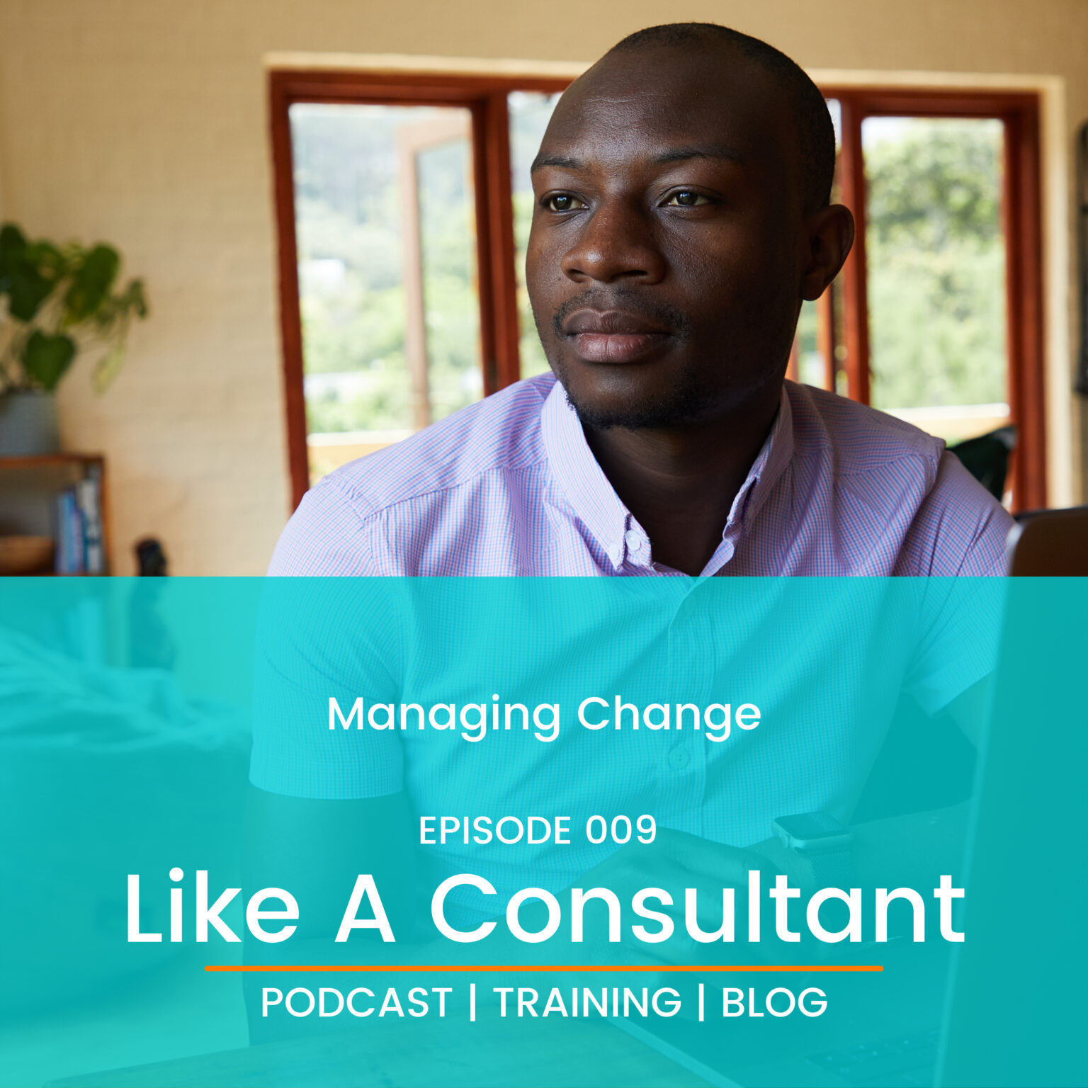 How To Manage Change As A Consultant Like A Consultant how-to-manage-change-as-a-consultant-like-a-consultant